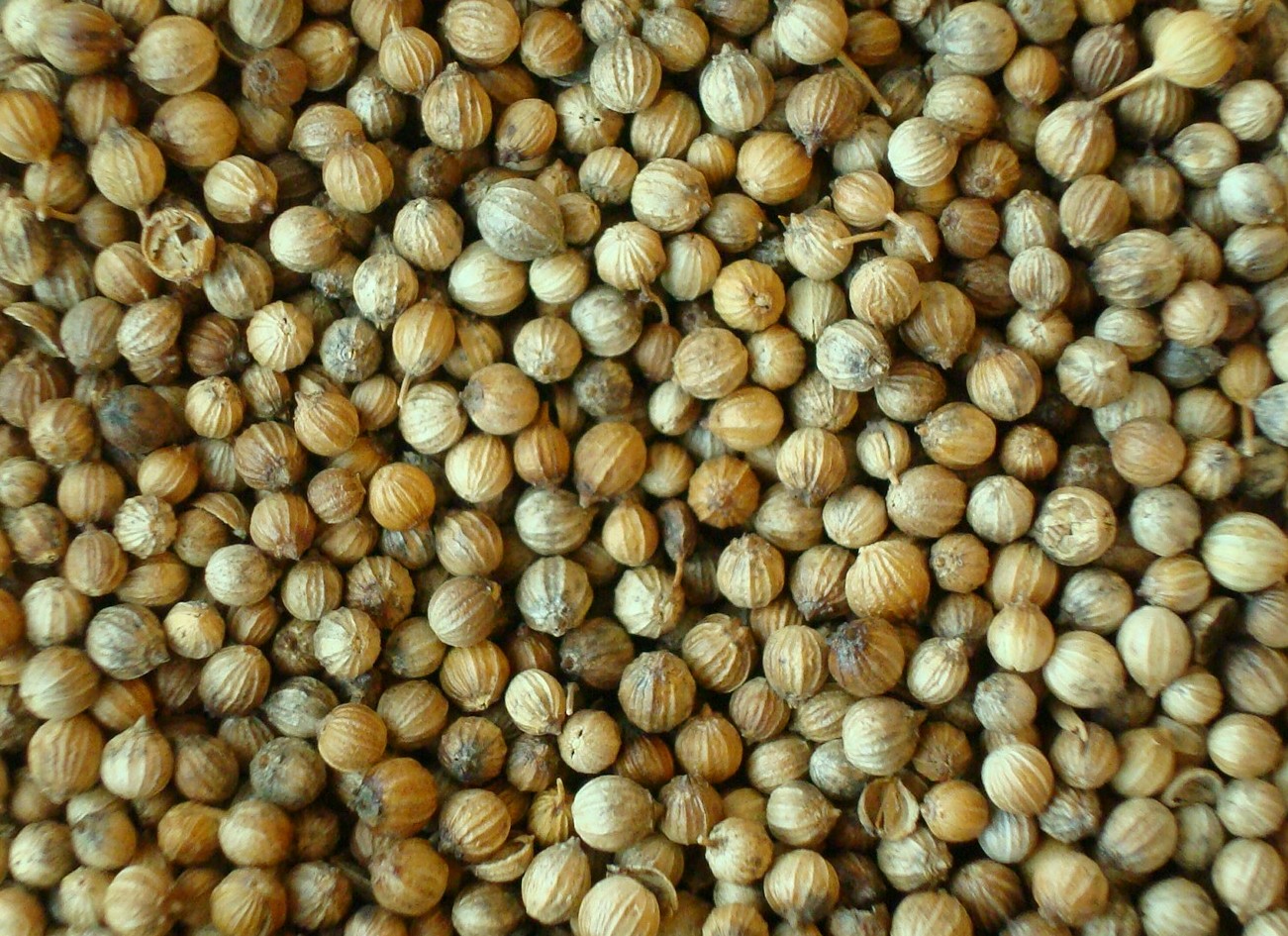 All about Om Nom Nom :): Weekly spice - Coriander