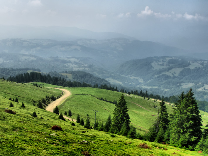 Photographis: May 2011