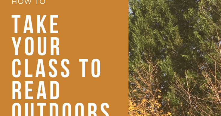 In My Classroom: The Forest and the Trees: Take your class to read outdoors