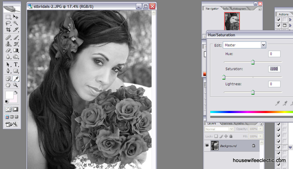 Photo Thursdays- How to make a dual toned image using Photoshop ...
