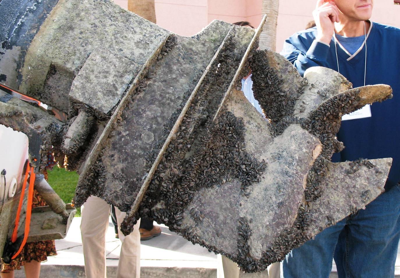 Word from the Wild: May 2013