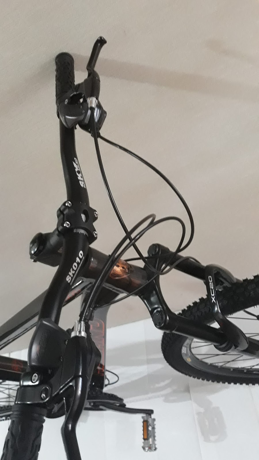 Rodo Bike_Bicicletaria: BICICLETA