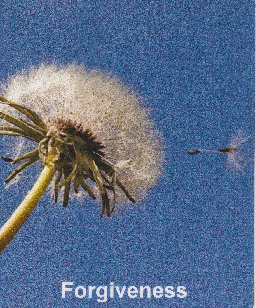 By the Sycamore Tree: The Way Forward