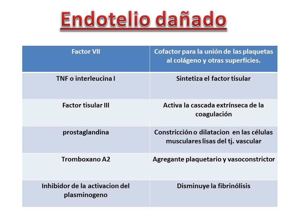 Fisiología de Clarisa Angulo: Ira Fox : SUSTANCIAS LIBERADAS POR EL ...