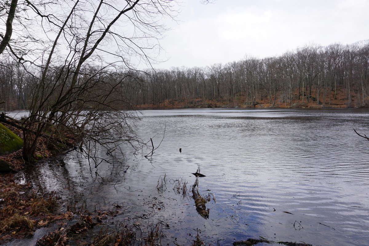 Harriman Hiker: Harriman State Park and Beyond: Blue Mountain ...