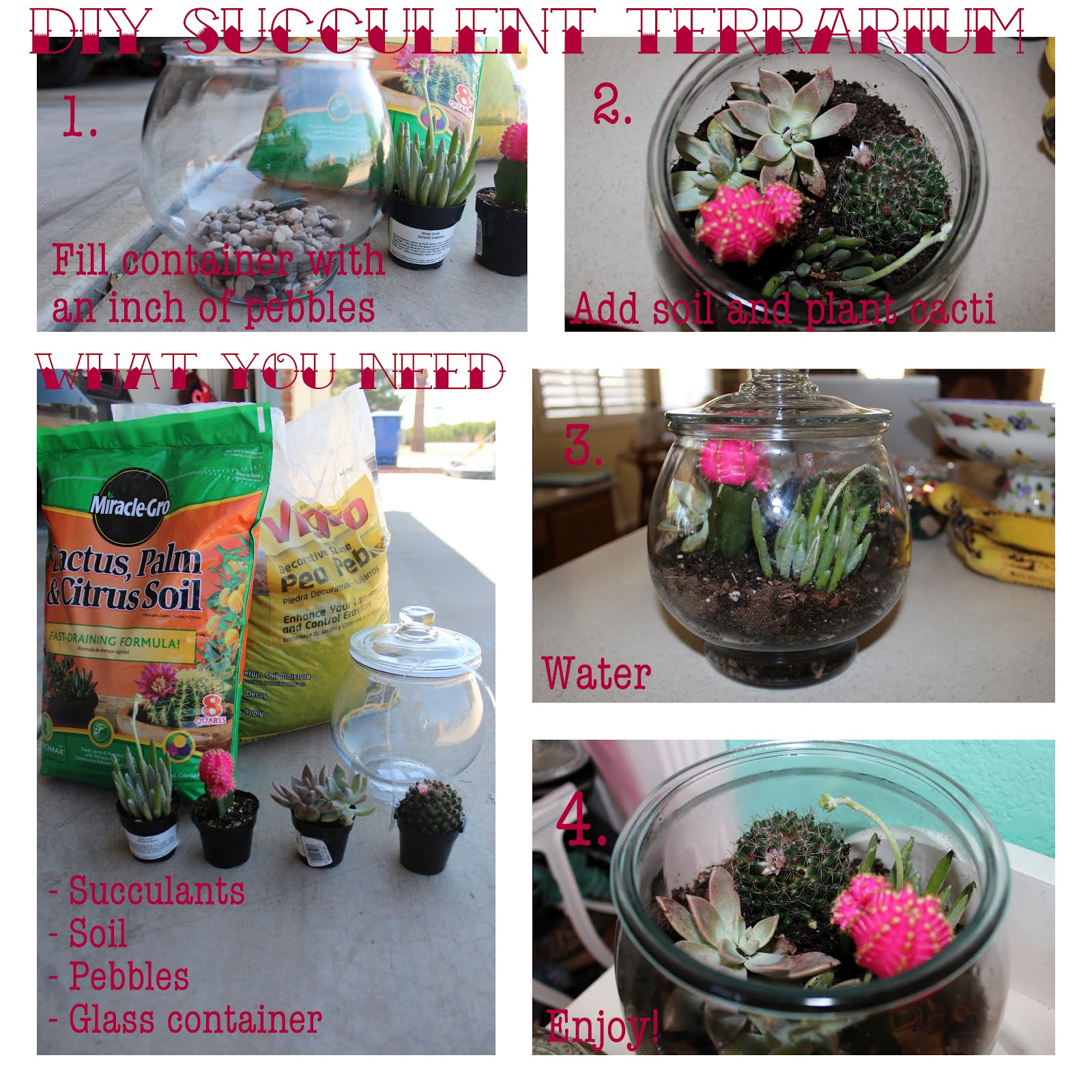 sincerely, truly scrumptious: DIY: Succulent Terrarium
