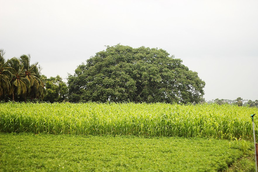 EnviroApps: October 2013