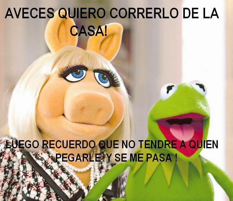 Reflexiones: hehehehehe ........el sapo de RENE ! y el amor eterno ...