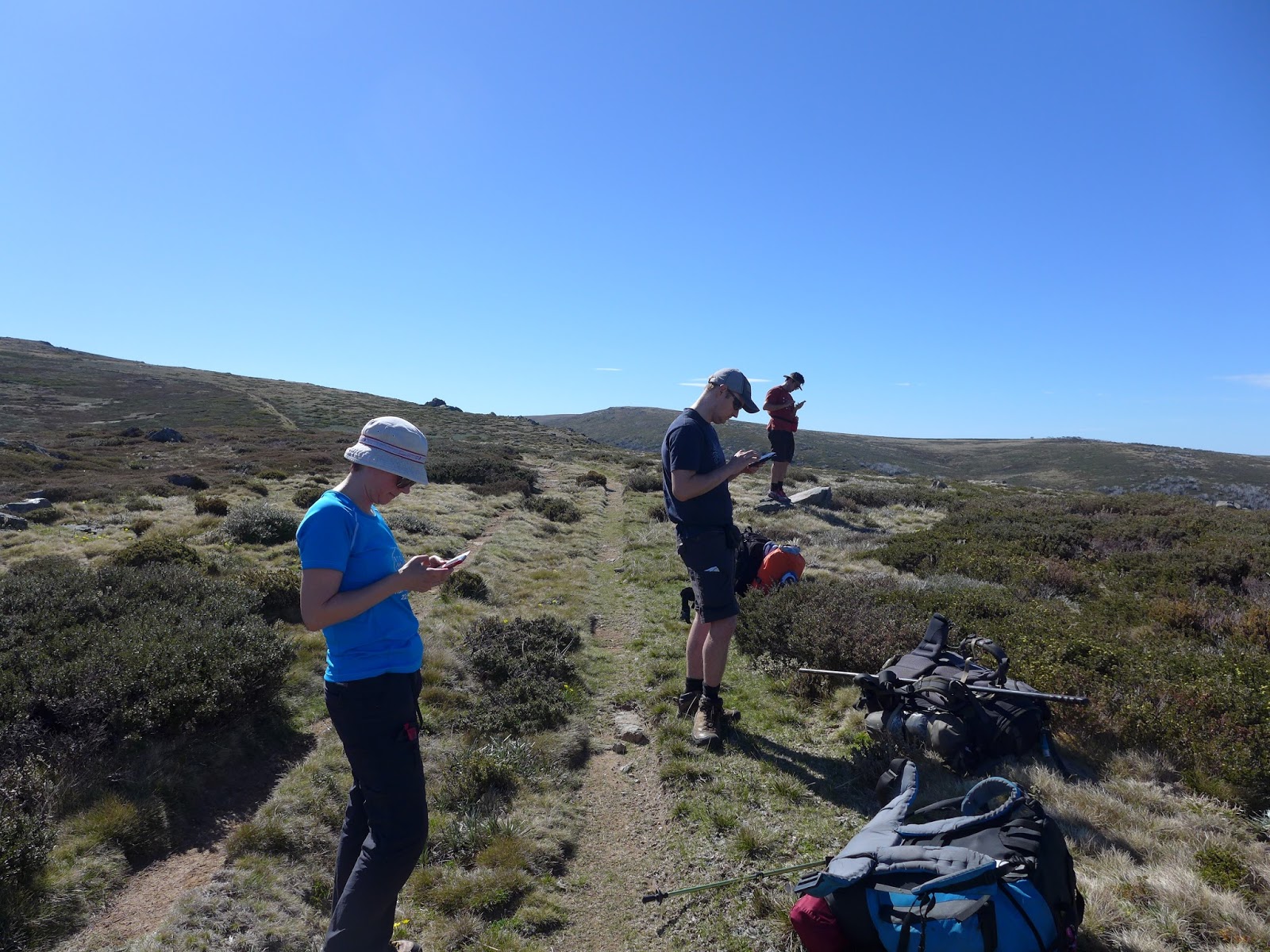 Wazza's Wanderers : Mt Bogong, Spion Kopje Circuit.
