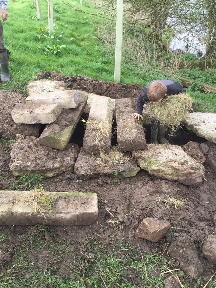 A Small Field Called Ellers Meadow: Building a Otter Holt