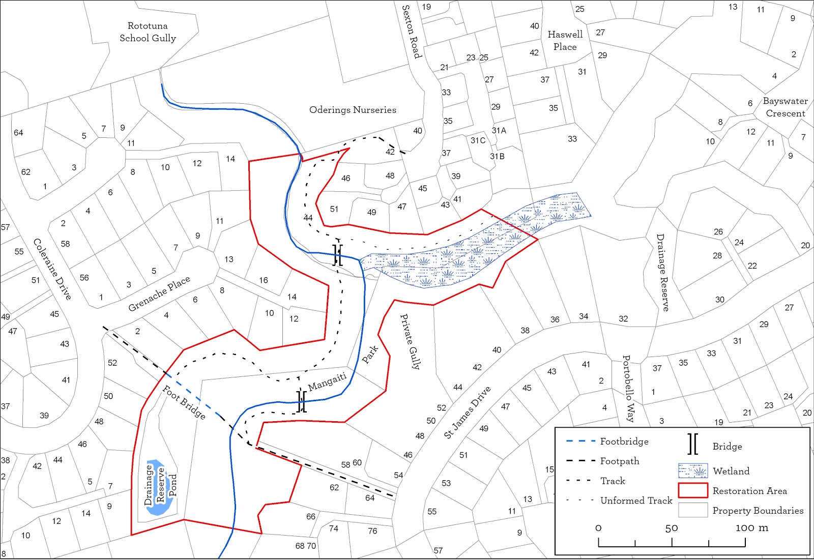 Mangaiti Gully Restoration Group: The Gully