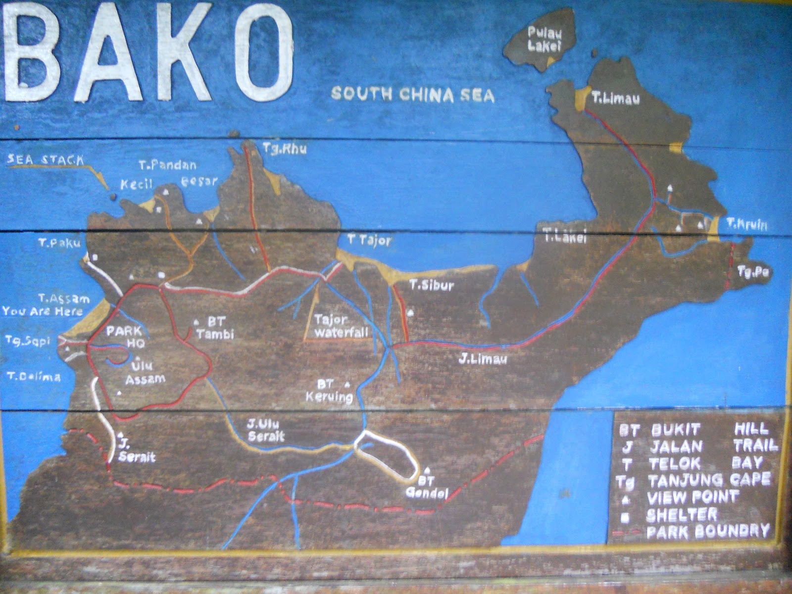 The Butcher's Table: Borneo and Bako National Park