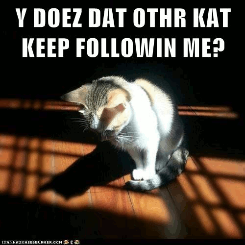 Grammar Catz: Grammar Cat #3: Shadow Cat