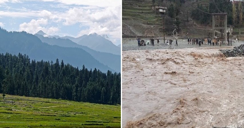 Forest and Environmental issues in Northern areas of Pakistan: Forest ...