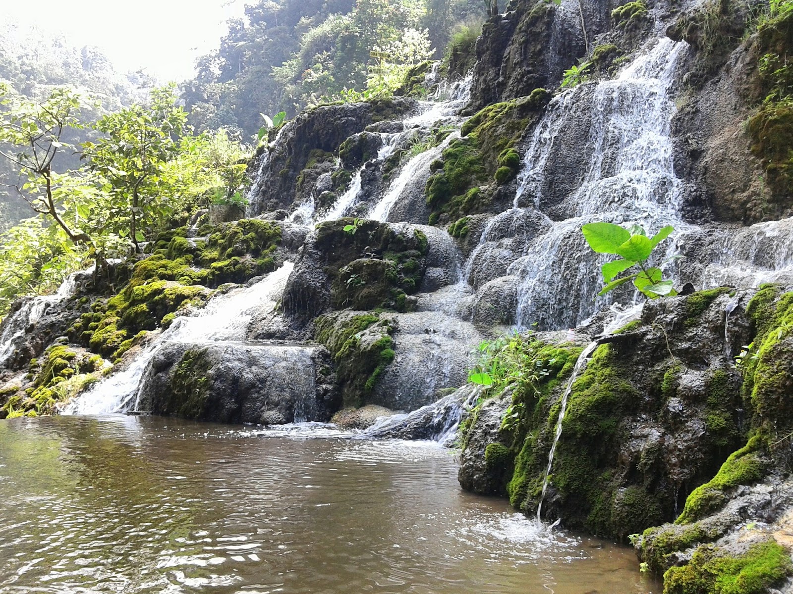 dolandolen: Air Terjun Goa Tetes Lumajang