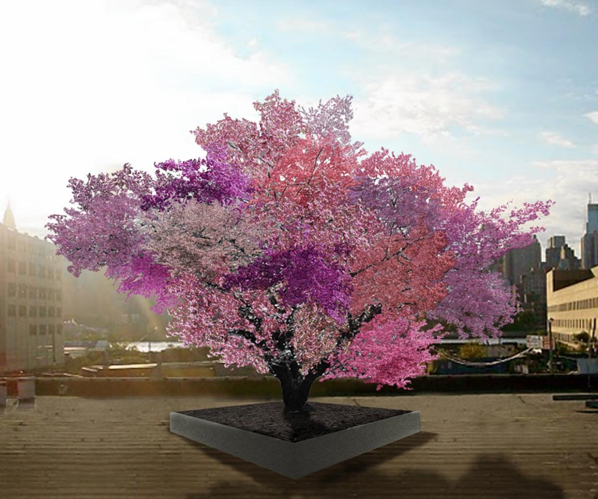 Fernando Ruz: This Crazy Tree Grows 40 Kinds of Fruit