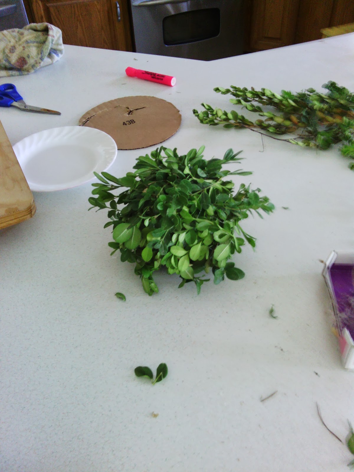 My thrifty sharing: Bush trimmings into a wreath