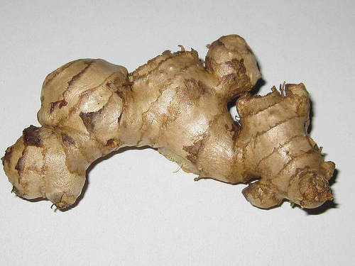 Philippine Medicinal Plants: Philippine Medicinal Plant: Ginger or Luya