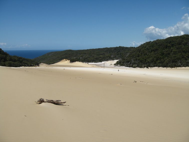 Travel Worn Satchel: Cooloola Great Walk: Part Two