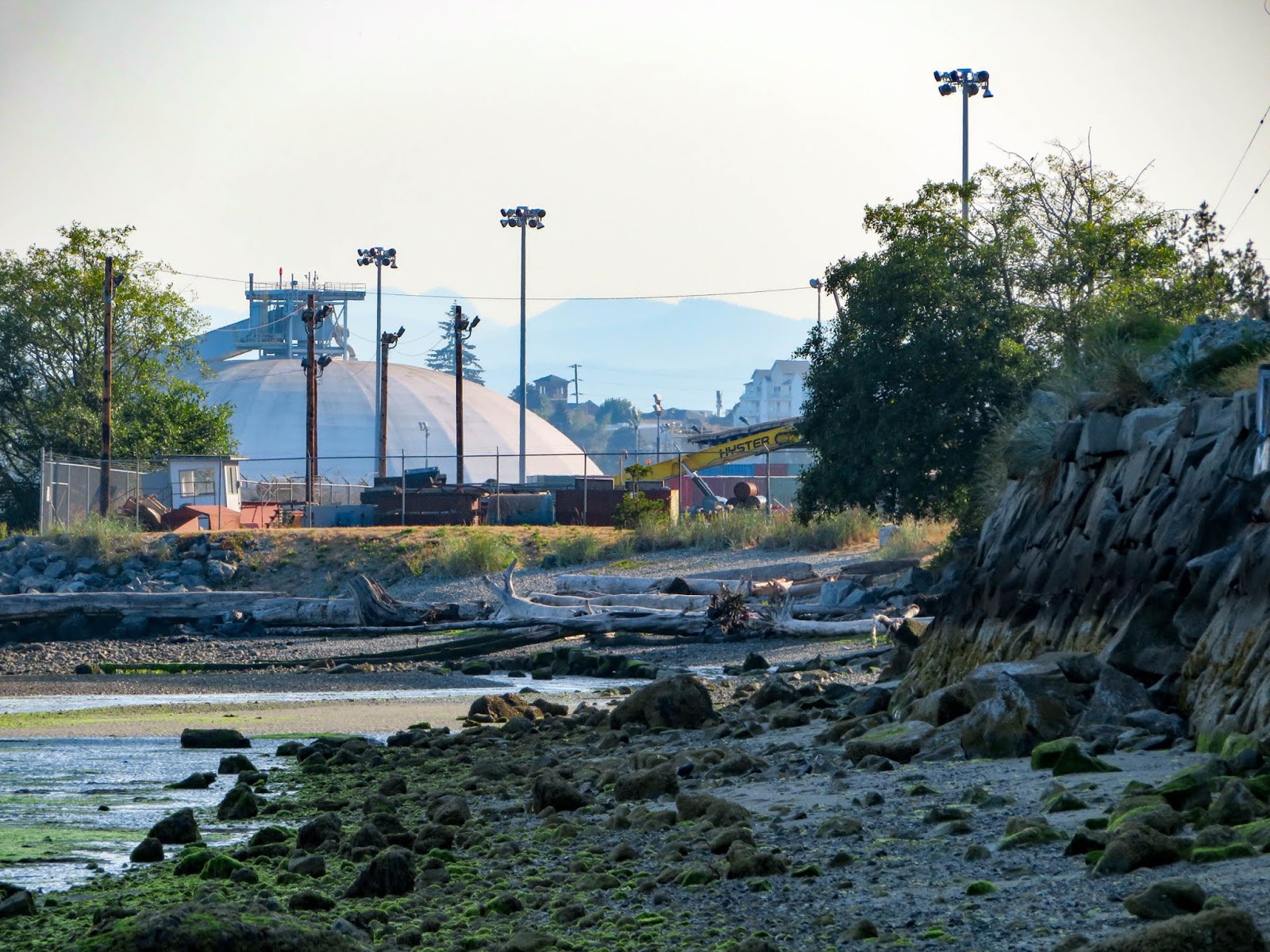 Gravel Beach: Pigeon Creek Beach