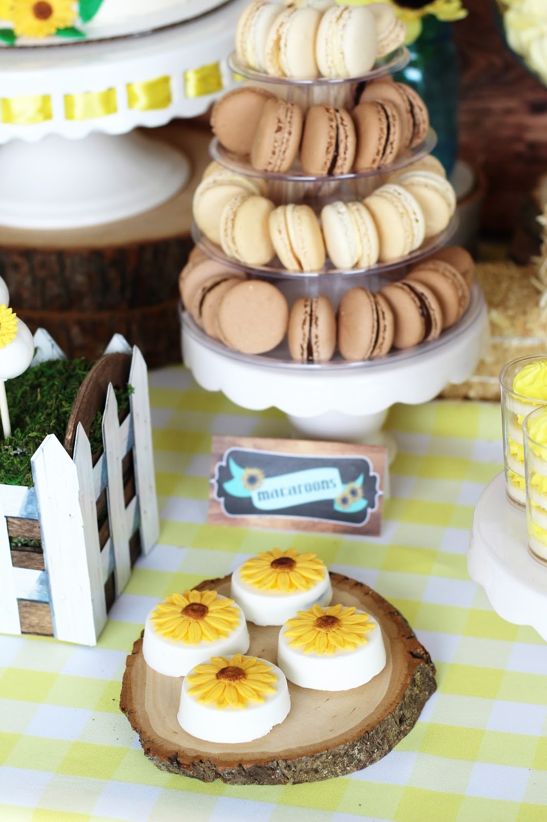 Fawn Over Baby: Country Themed Pre-K Graduation Party By Ashleigh ...