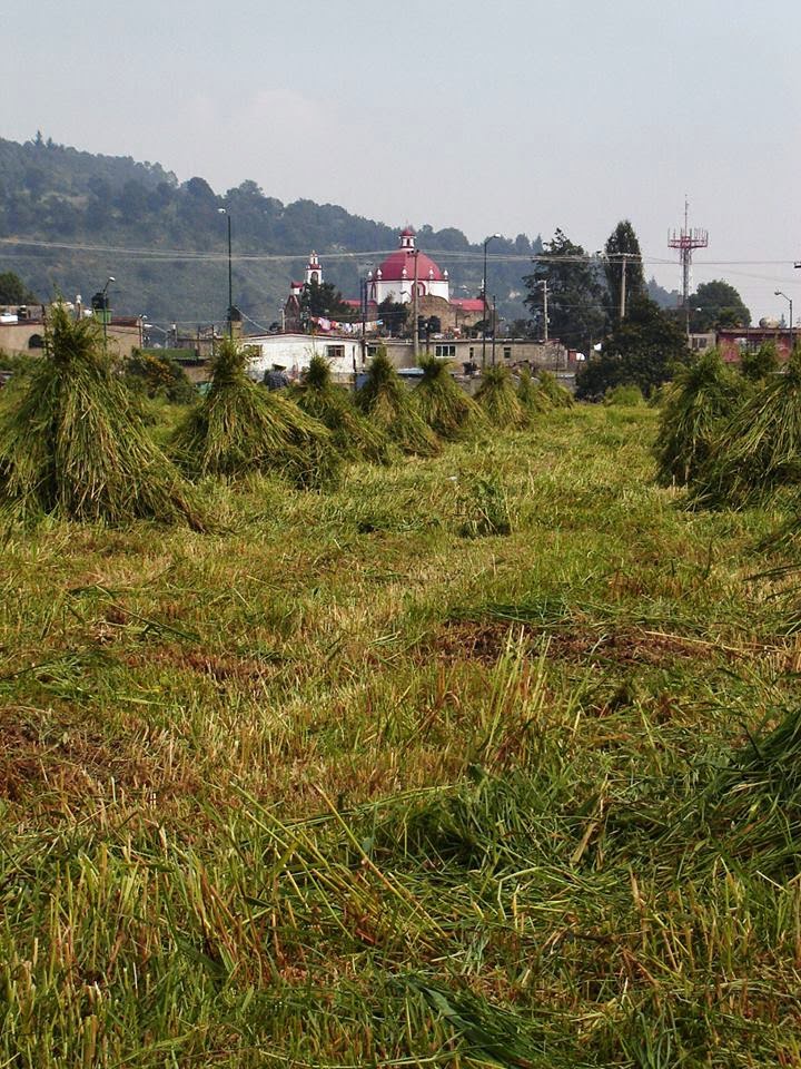 san miguel topilejo tlalpan : mas acerca de topilejo