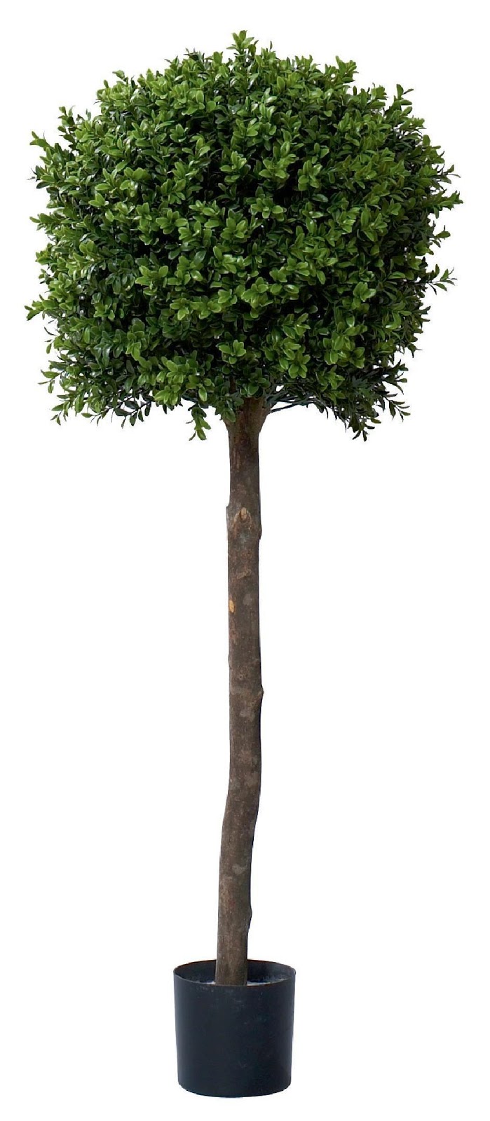 La ciencia es bella: ¿Cómo plantarías diez árboles...?