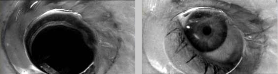 Luke Nutter AS Film Studies: Juxtaposition on Psycho Shots