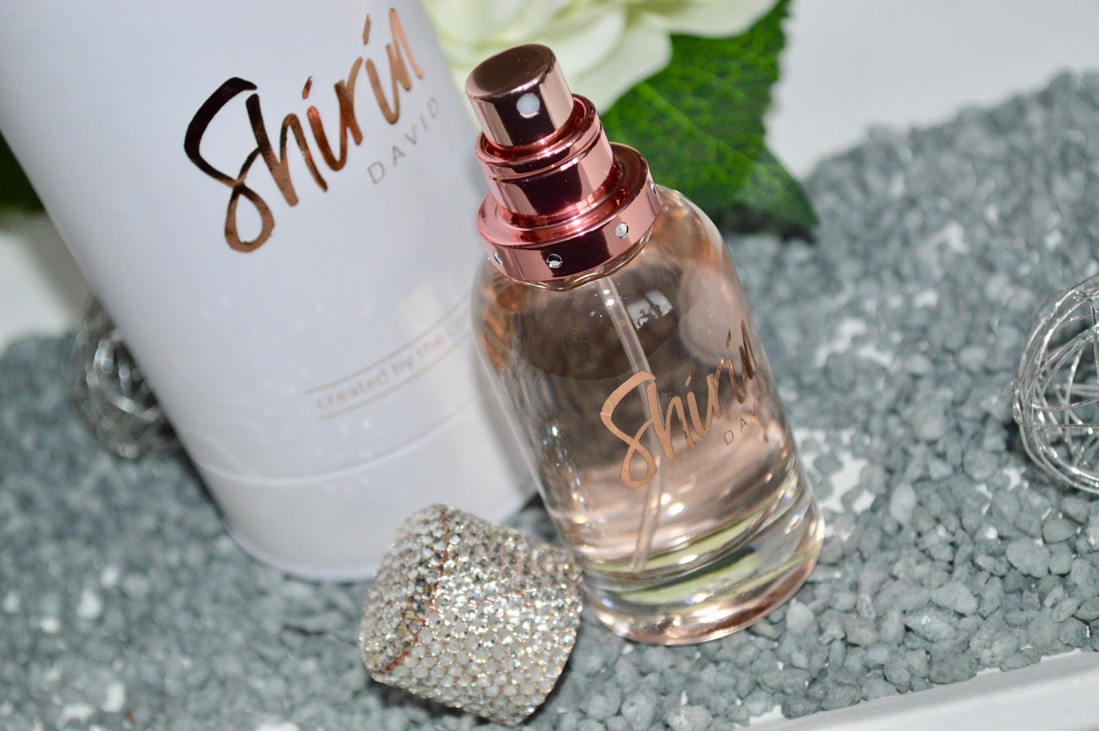 All about Melli: Shirin David- created by the community Parfum