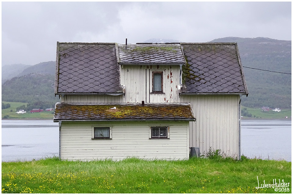 NORGE.nl: Burfjord ''gammelt hus'' & måke (2016)