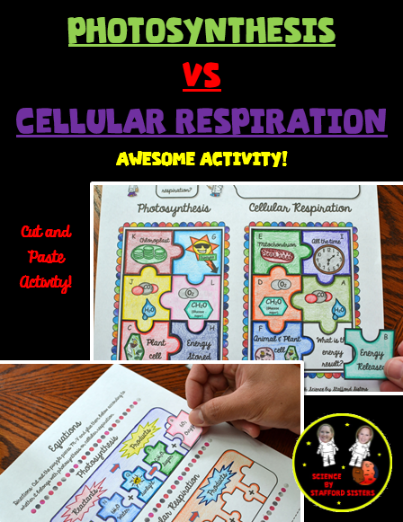 Math in Demand: Photosynthesis vs Cellular Respiration