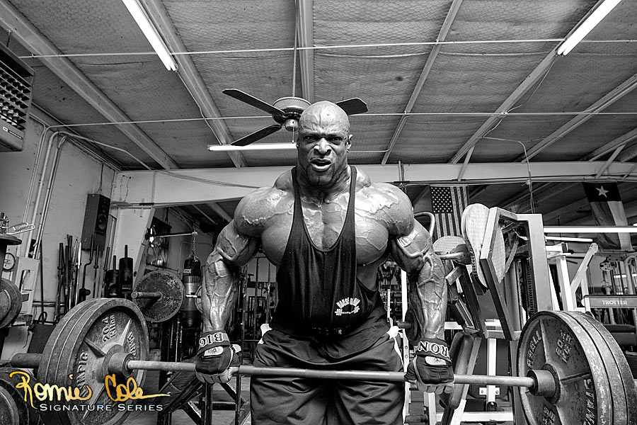 Ronnie Coleman Signature Series :: ~ Tenfre