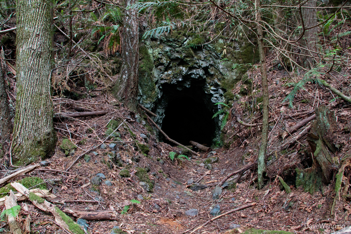 The John Tursi Trail