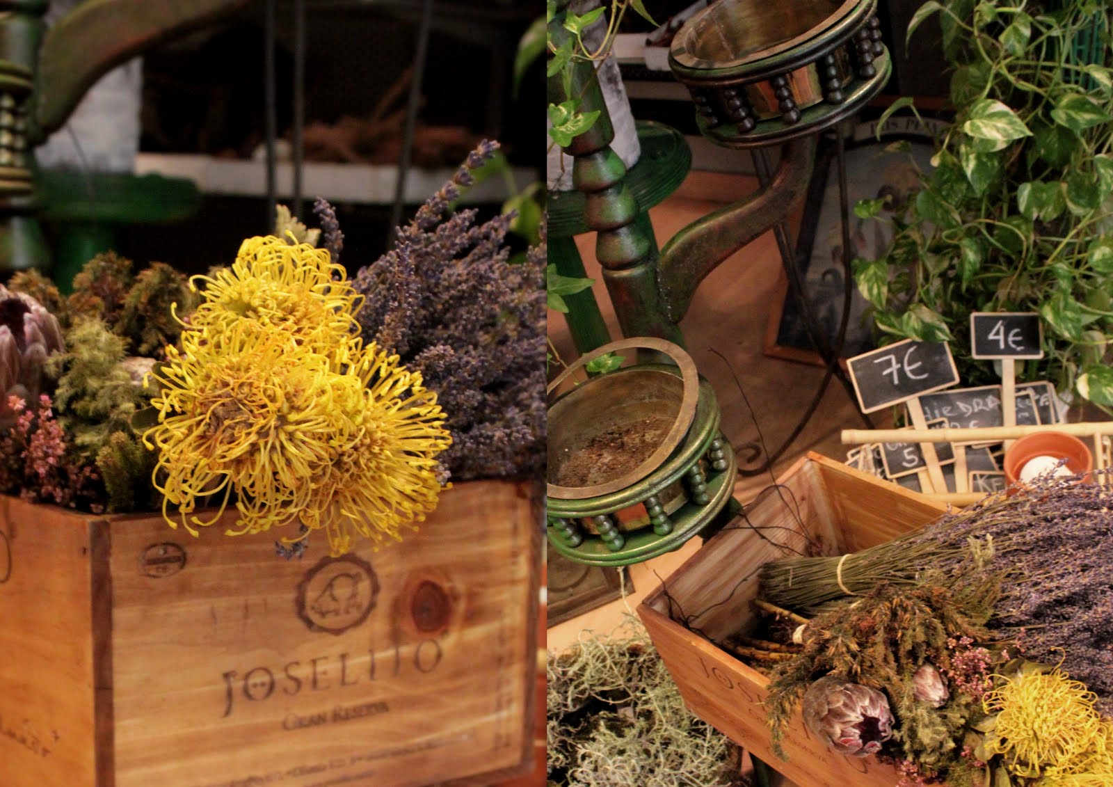 Y UN POCO DE DISEÑO: La Florería