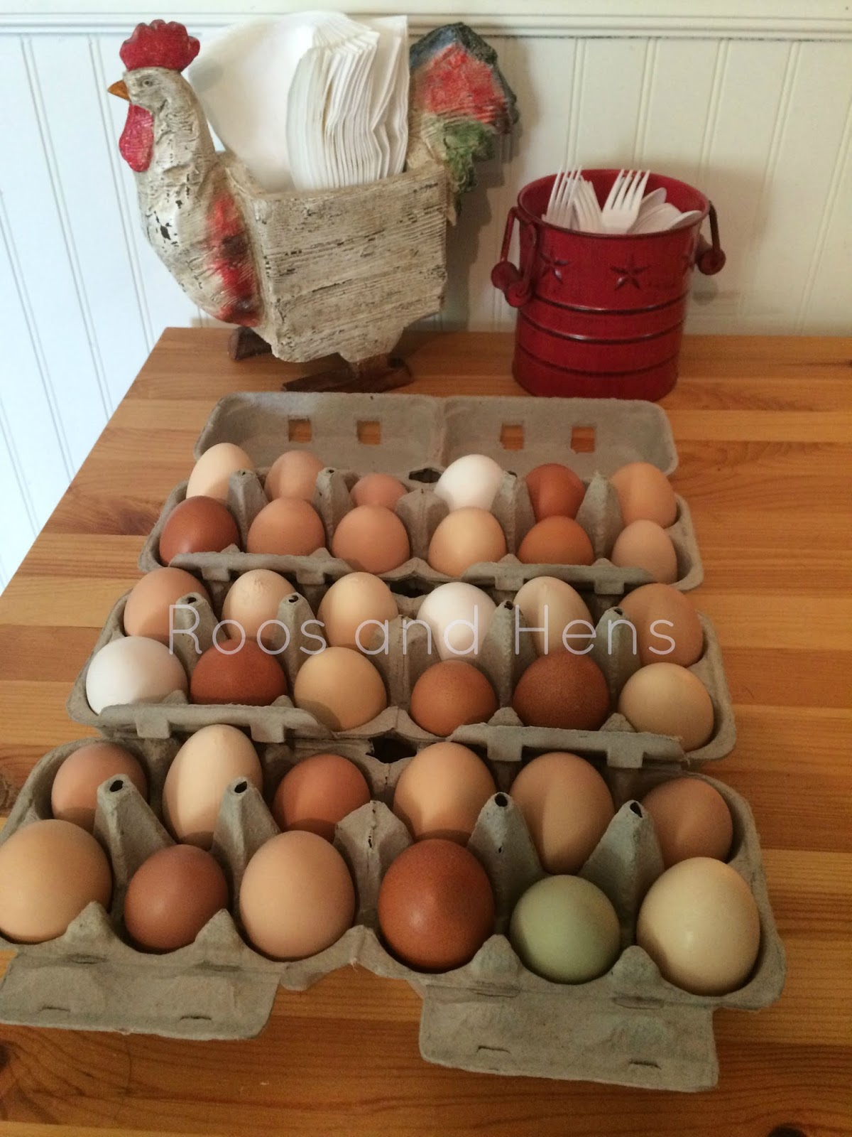 Roos and Hens : Chickens Free Therapy and Life Lessons