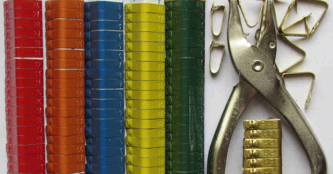 Insel Lyr Farm: You need to identify your chickens: Wing Bands and Leg ...