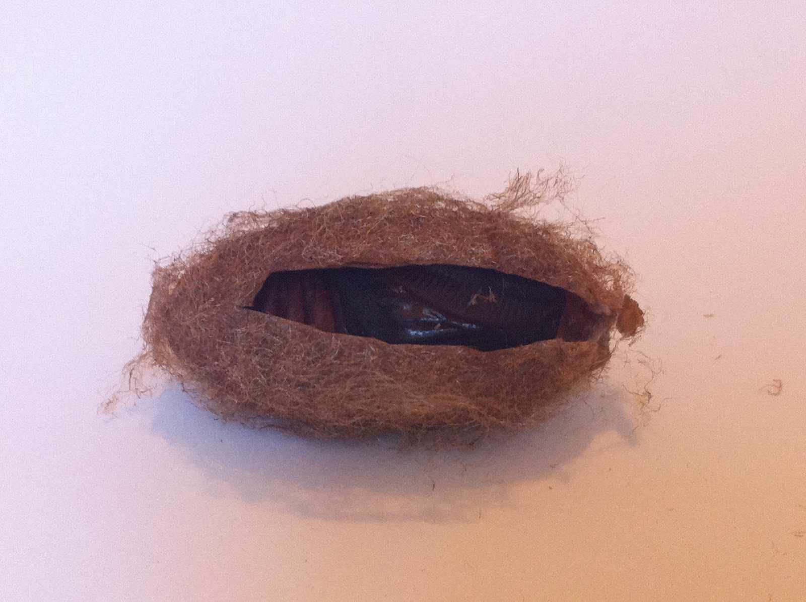 - - - / - - - / - - -