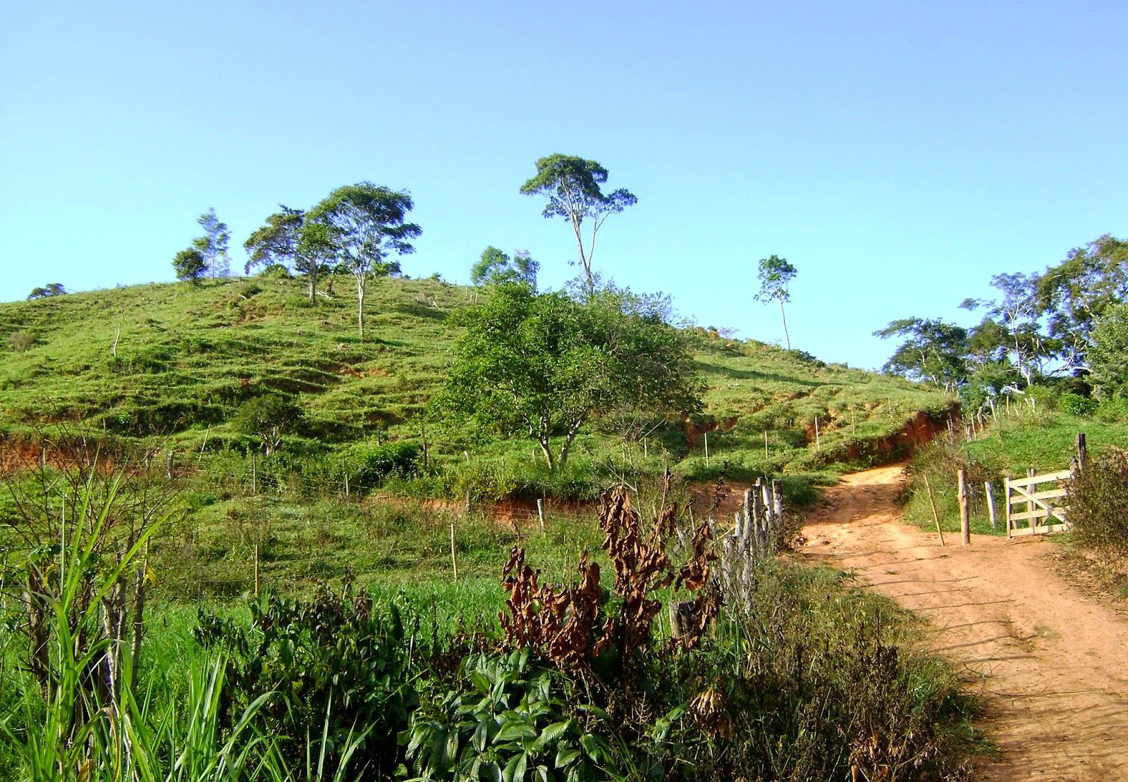 Imagens Rurais: Paisagens Rurais cachoeiras e belos lugares