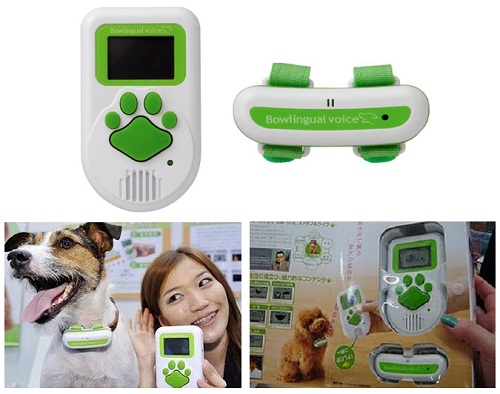 Procura-se DIANA - Cachorra Shih Tzu - Goiás: Pets Utilidades! Algumas ...