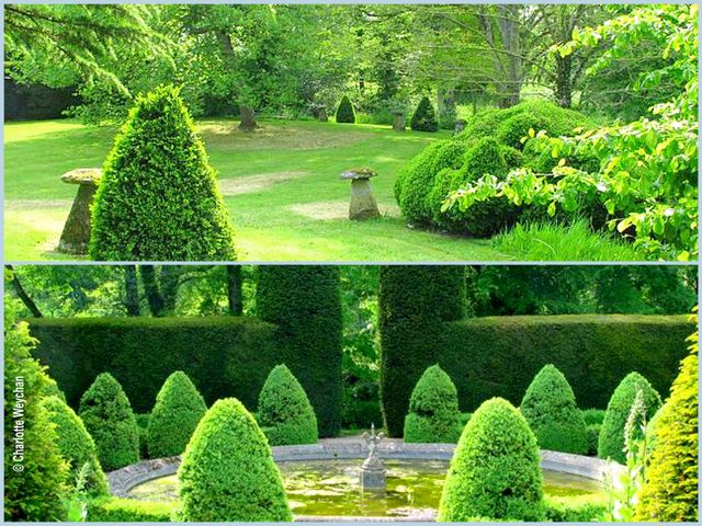Wish List Gardens - Cothay Manor, Somerset