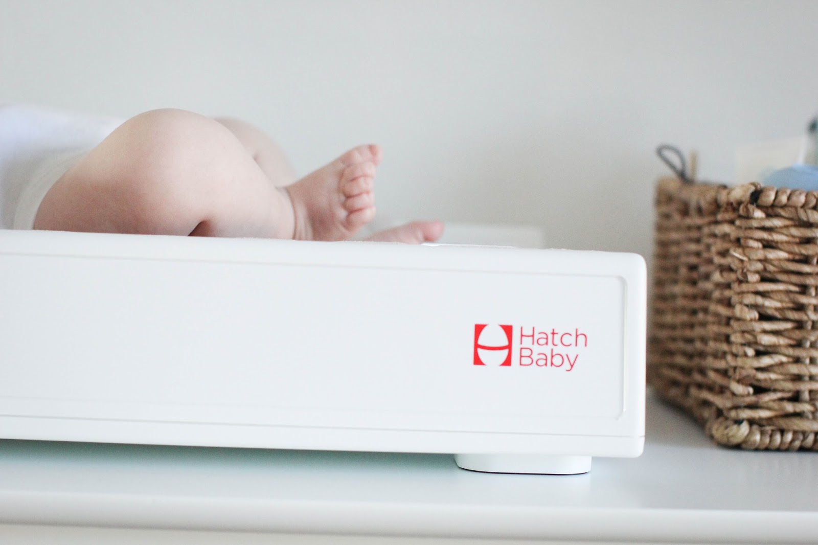 PS. It's on sale right now! Go quick!