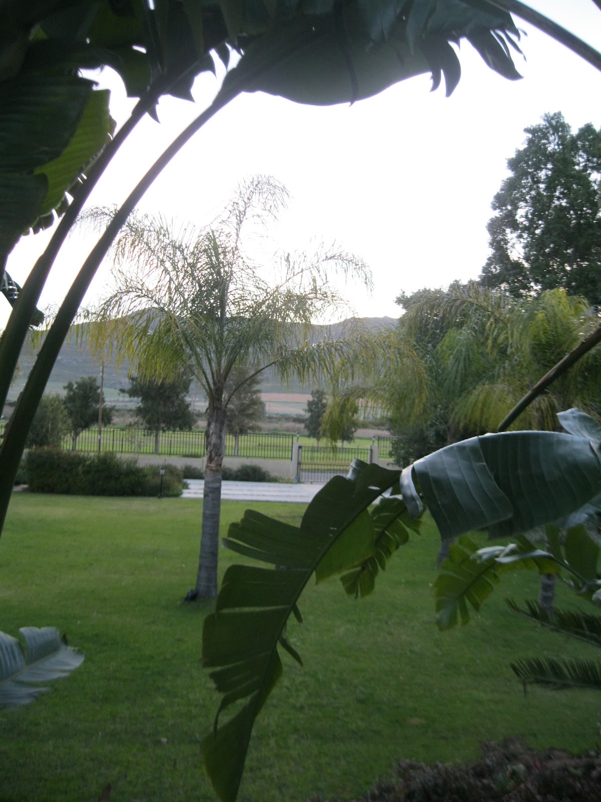 [Fair.ly Traded] Food for Thought: Citrusdal Hospitality - ALG Boerdery