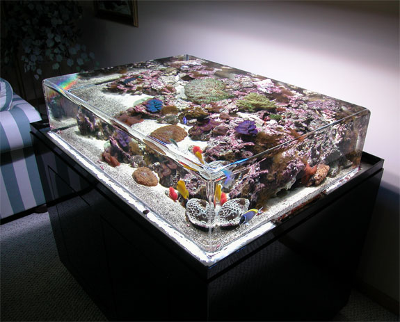 Fish and Aquarium blog: 9 Cool Home Aquariums