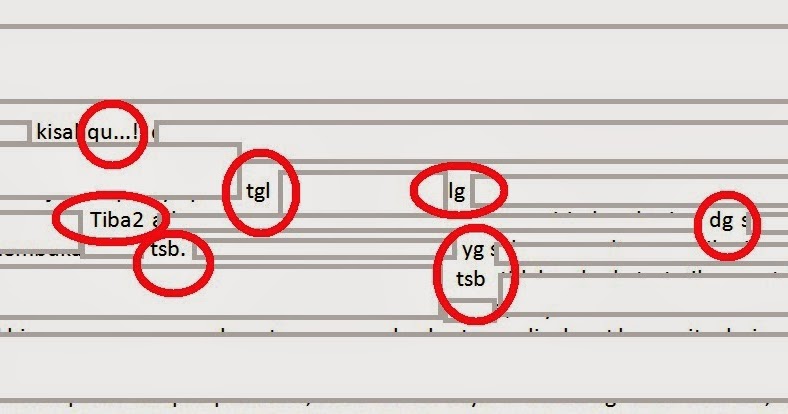 Penulis dan Bahasa Tulis Alay