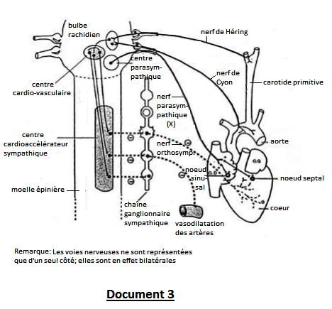 Oasis SVT: Méthodologie exploitation de documents