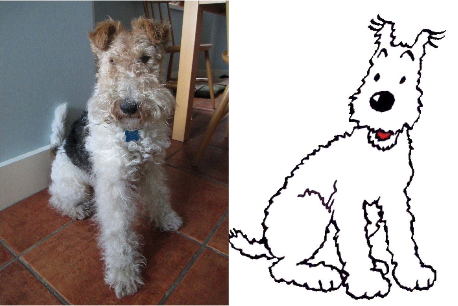 Bouncing Bertie's Blog: Qui est Milou?