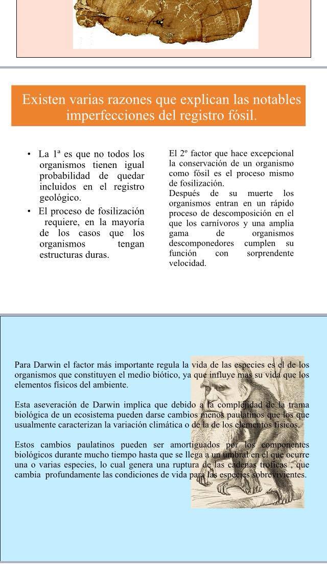 Biología IV María Eugenia Tovar: La historia de las rocas.