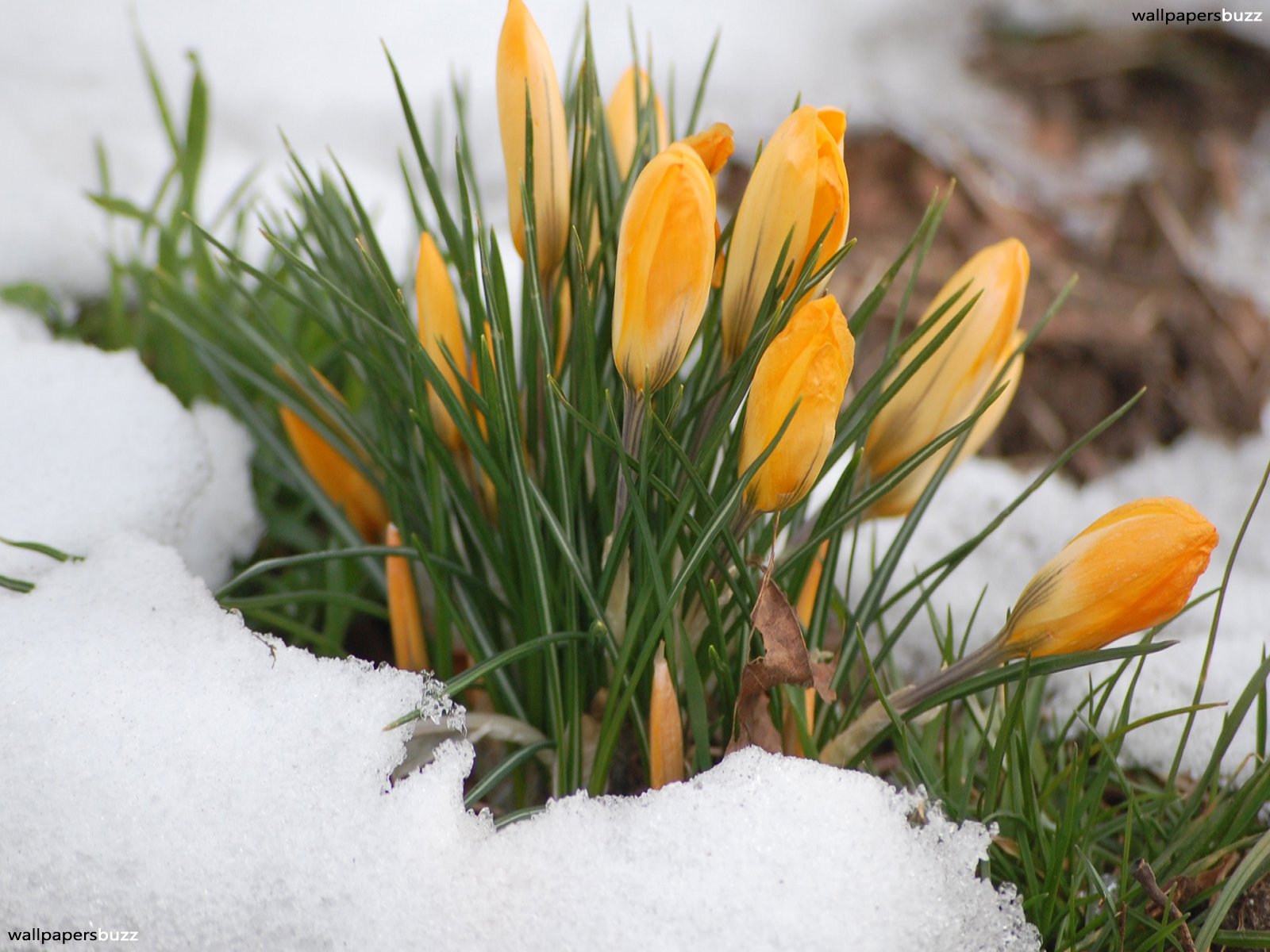 500 Words A Week February 2012 500-words-a-week-february-2012