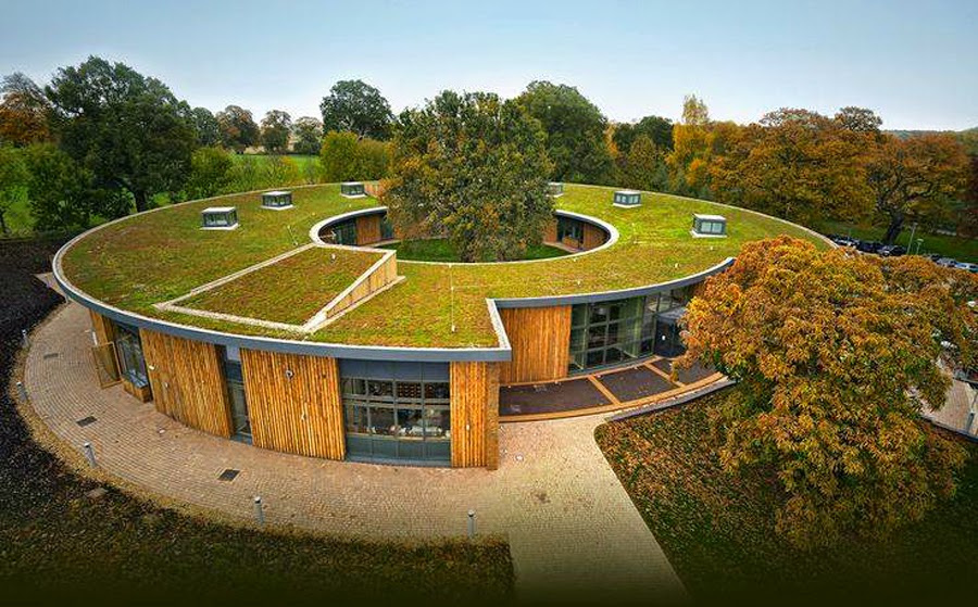 BAU Estudio Arquitectos: Cubiertas "verdes"...