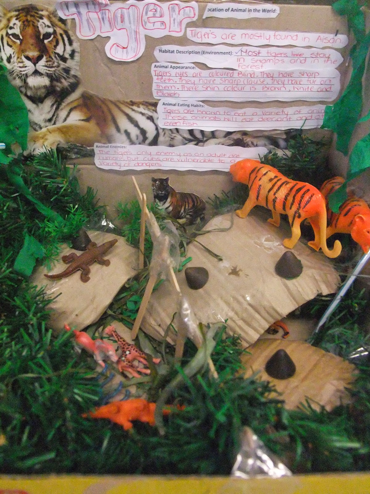 Bengal Tiger Habitat Diorama